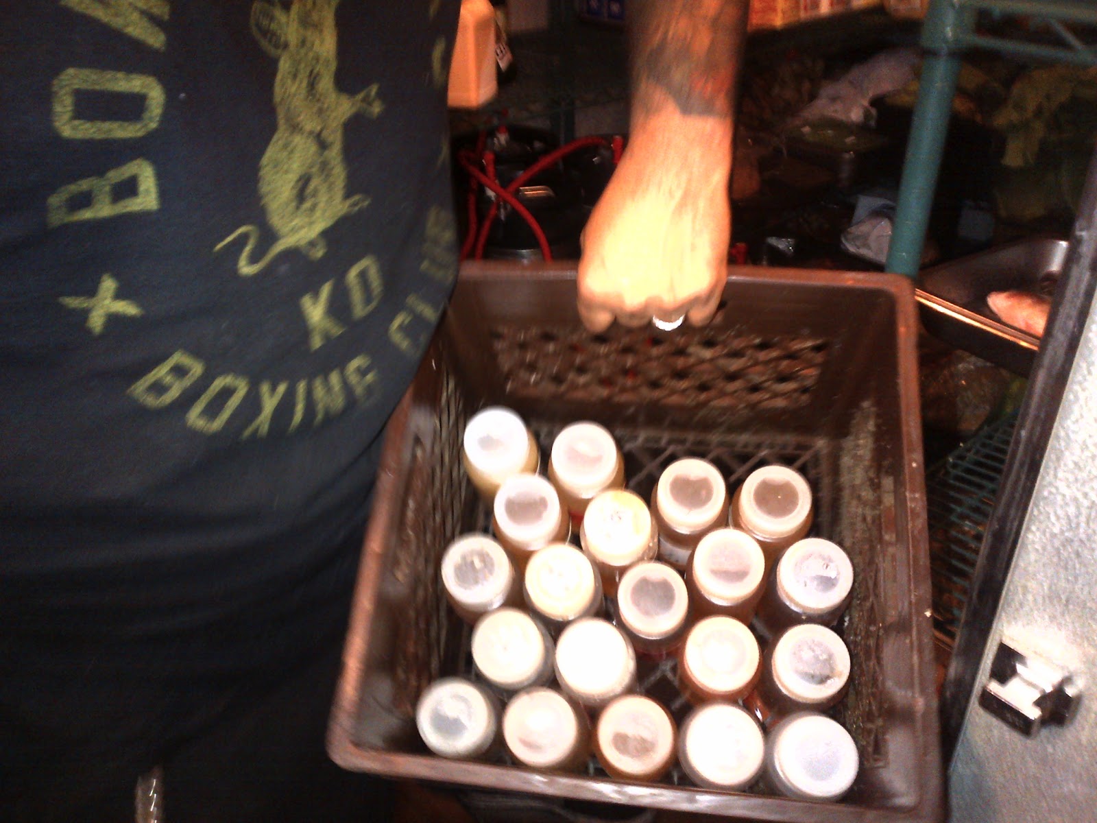 Beer Hear!: 508 GastroBrewery