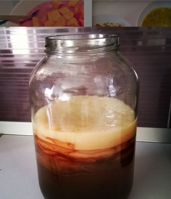 Kombucha: cómo se prepara (primera parte)