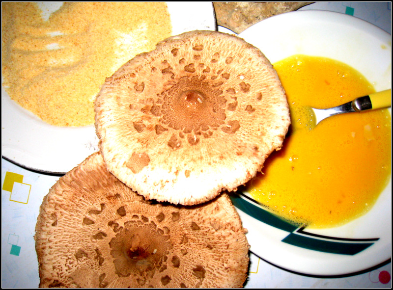 Sashita: Pohane marele