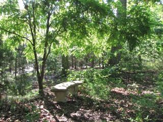 The Nature In Us: Allergies & Flu - I'm Not Participating