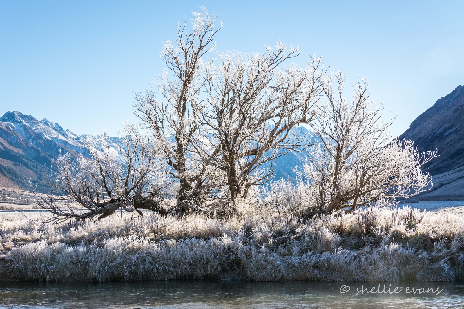 Two Go Tiki Touring: The Remote Ahuriri Valley- Part 2