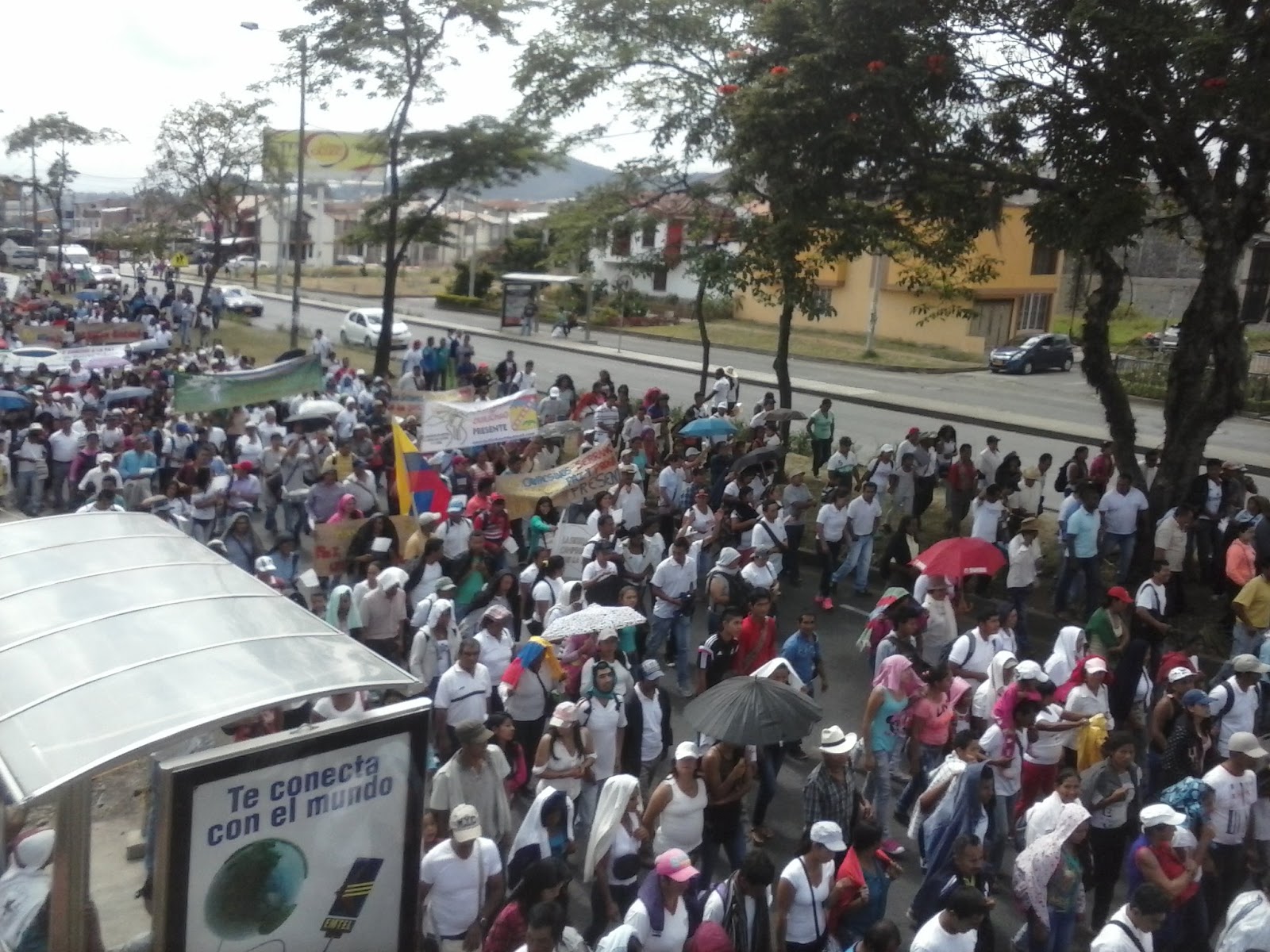 CONSEJO DE MUJERES PIENDAMO