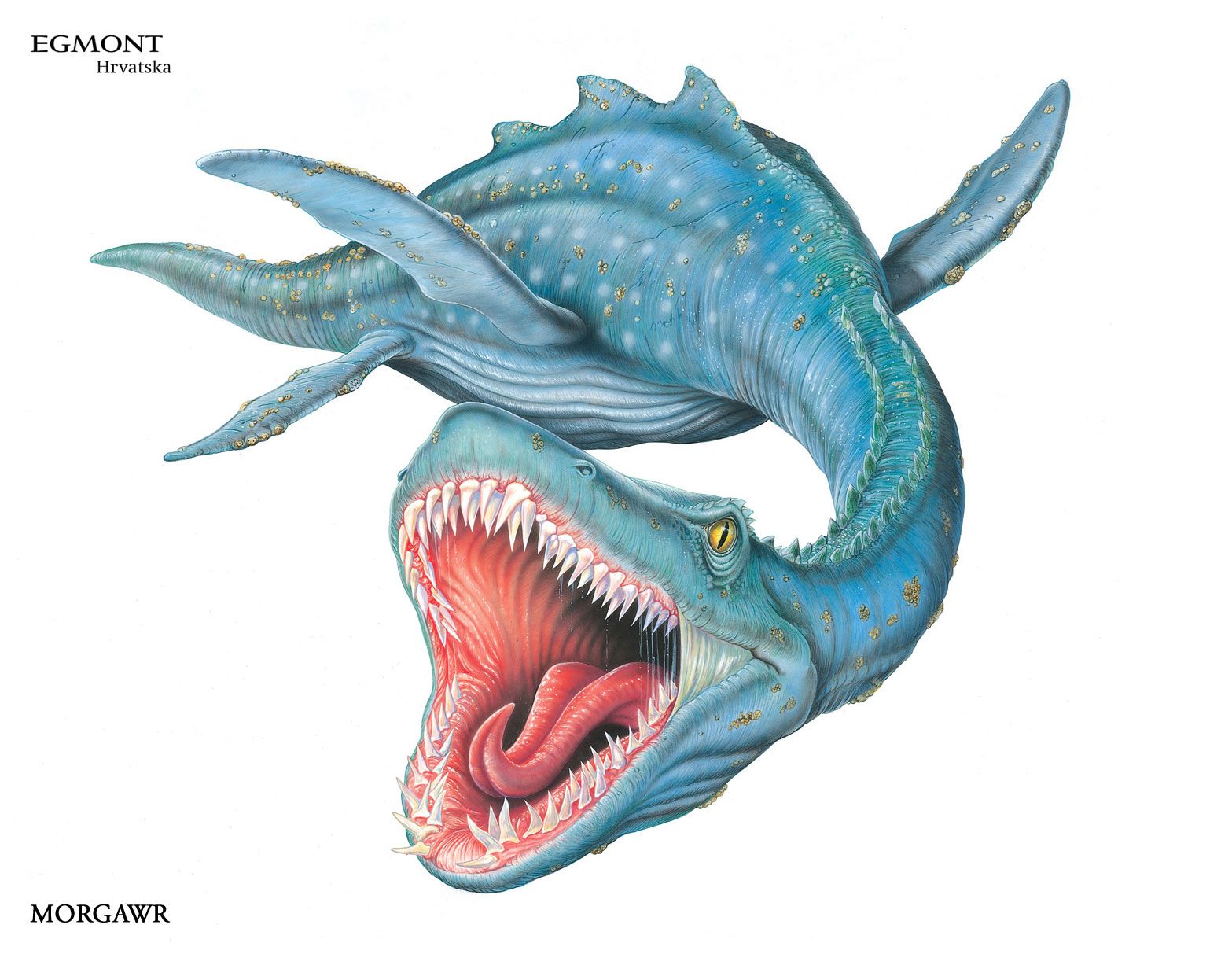 Blog Misteri Tesla: Legenda Morgawr