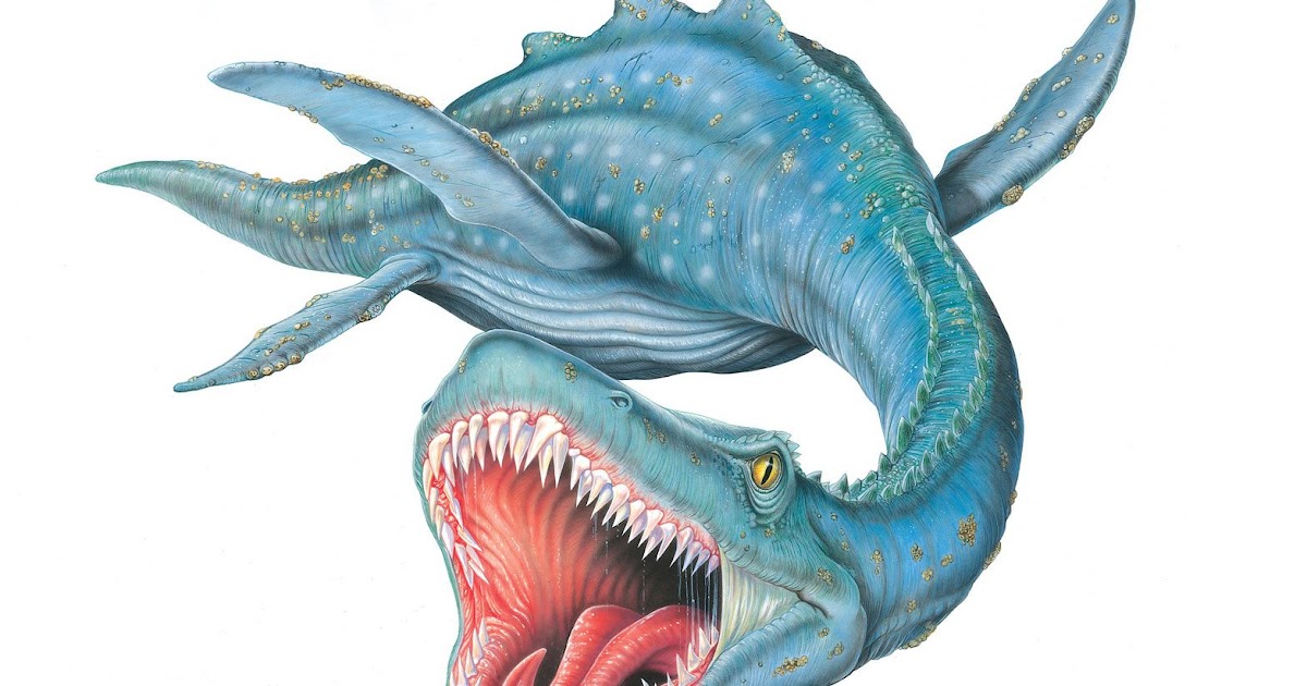 Blog Misteri Tesla: Legenda Morgawr