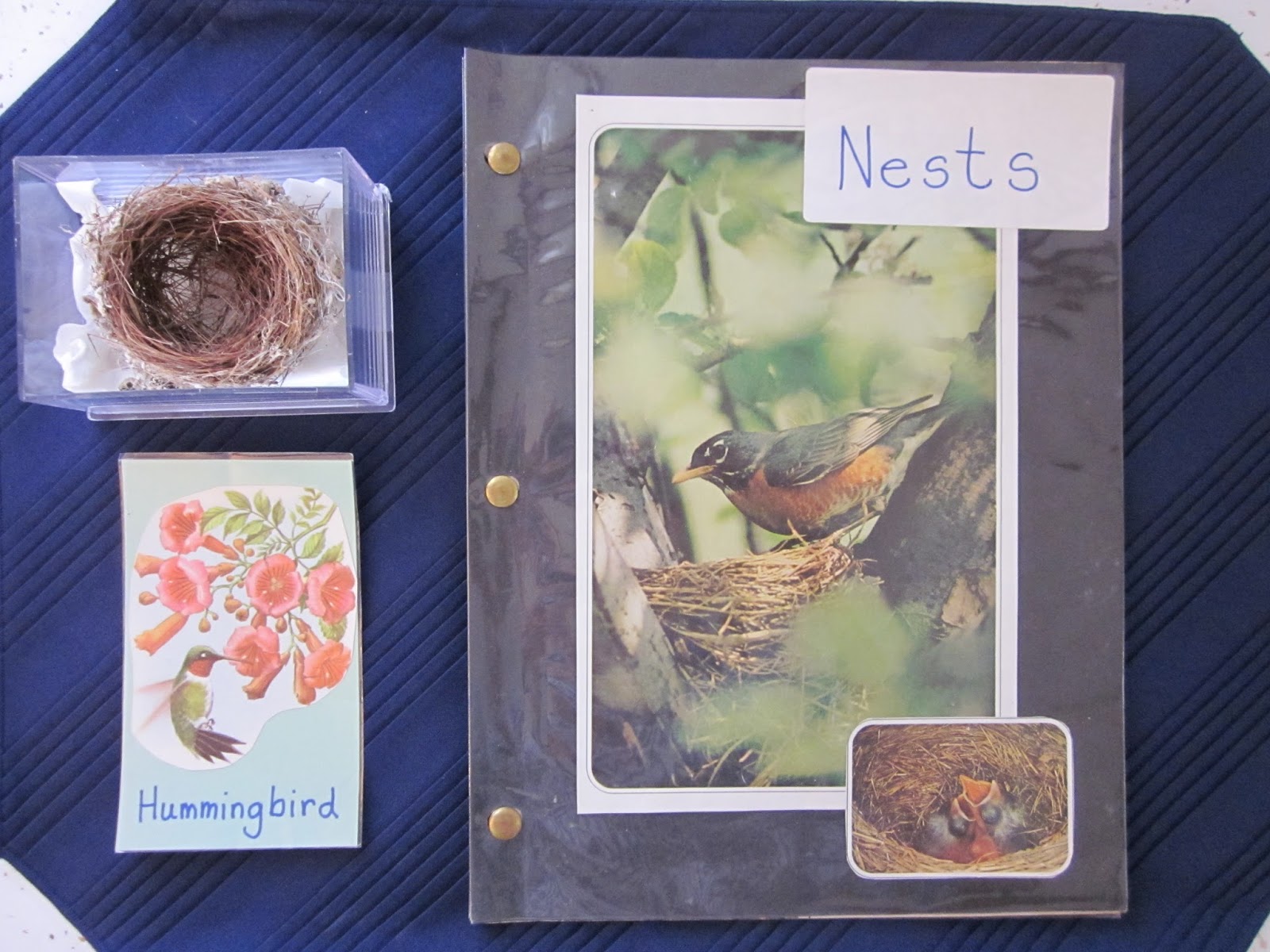 Inspired Montessori, Reggio Loose Parts, and Children's Art : Of Nests ...