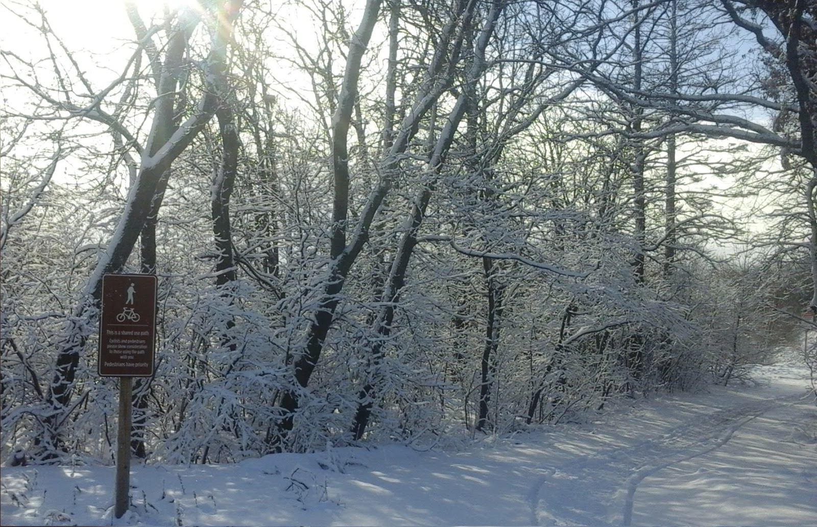 Winnipeg Weather: March Brought Another Early Spring to Southern Manitoba
