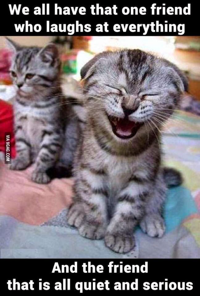 We all have that one friend who laughs at everything and the friend ...