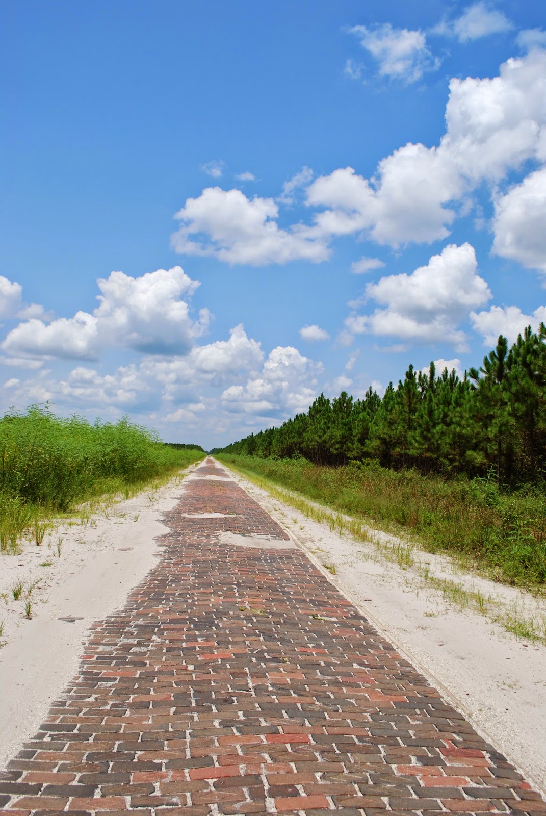Heroes, Heroines, and History: Tidbits About the Old Brick Road in Florida