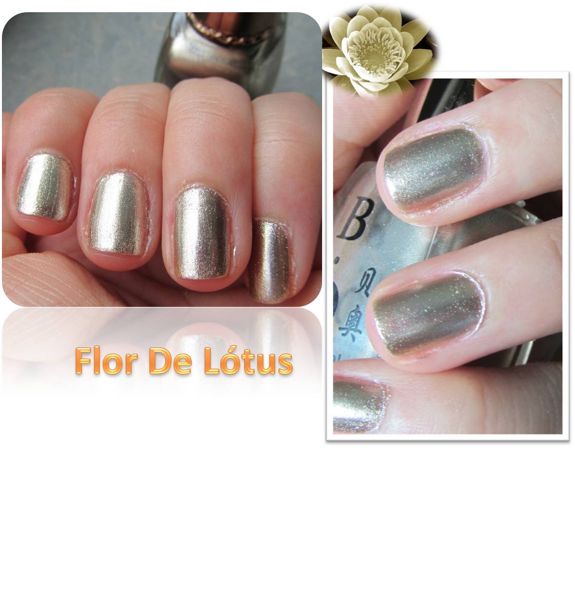 Flor De Lótus: Verniz BO: cor 061 (Bronze)