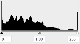 Dynamic Range ~ Dallas Goh Photography