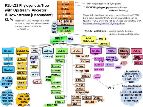 Luckie Scot Y-DNA Blog: R-L21+ FT DNA Project