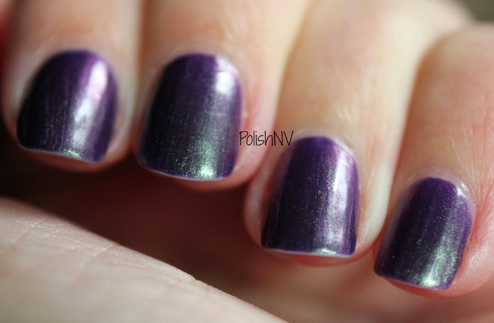 PolishNV: Color Club Portfolio