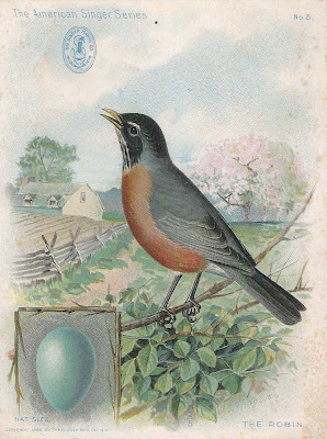 Quilting on the Crescent: Trade Card Tuesday: The American Singer Series