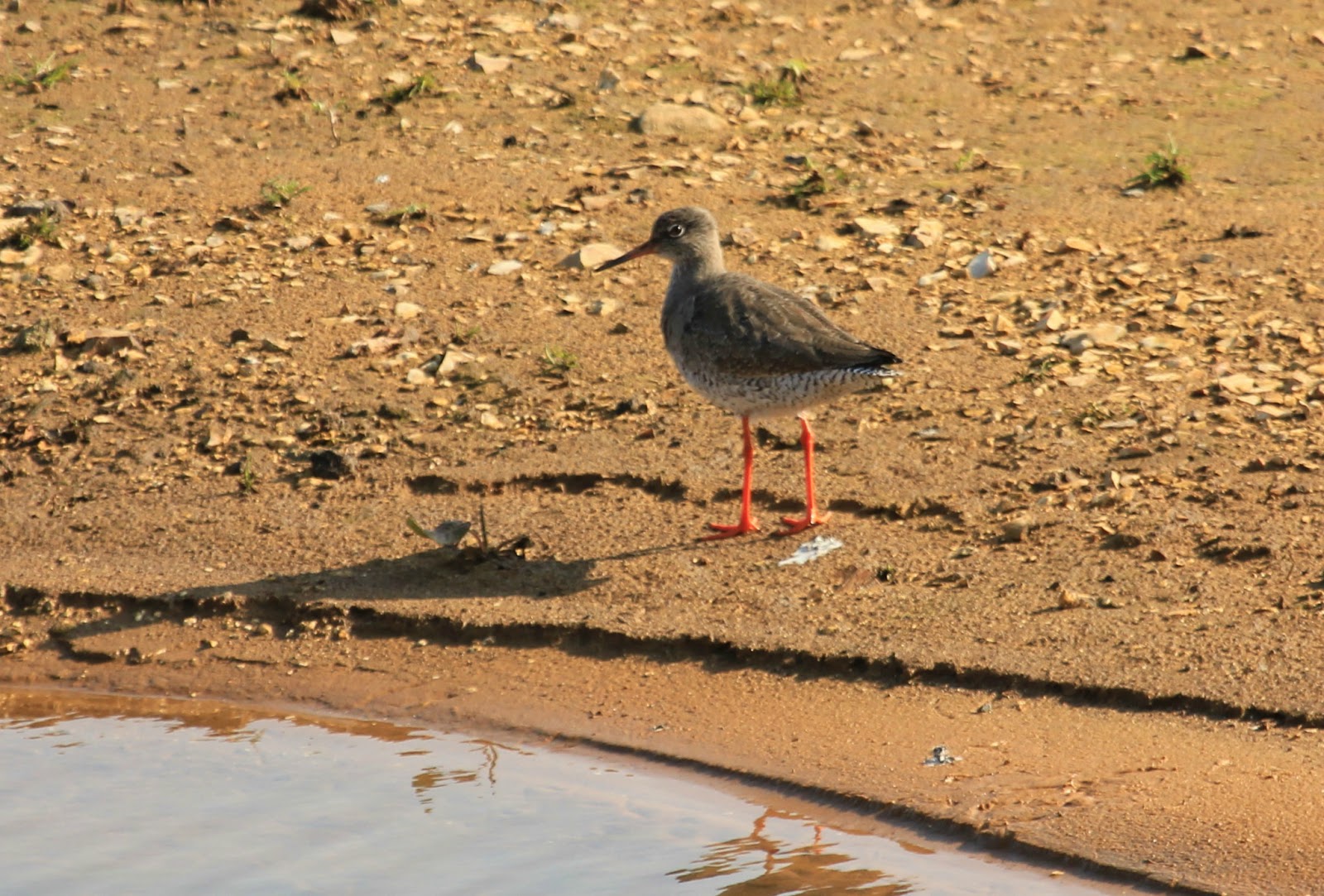 andrew bulmer photography