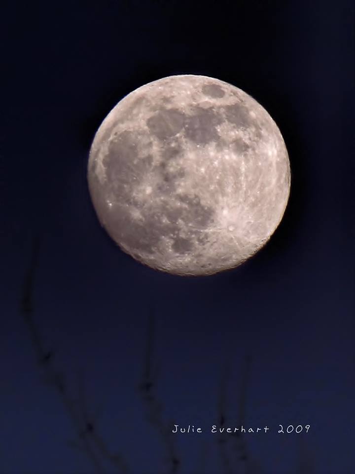 Julie Everhart Fine Art & Photography: Cold January Moon