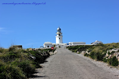 Un Manchego en el Camino