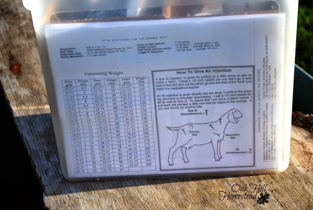 Inside My Livestock First Aid Kit (Updated for 2023) - Oak Hill Homestead