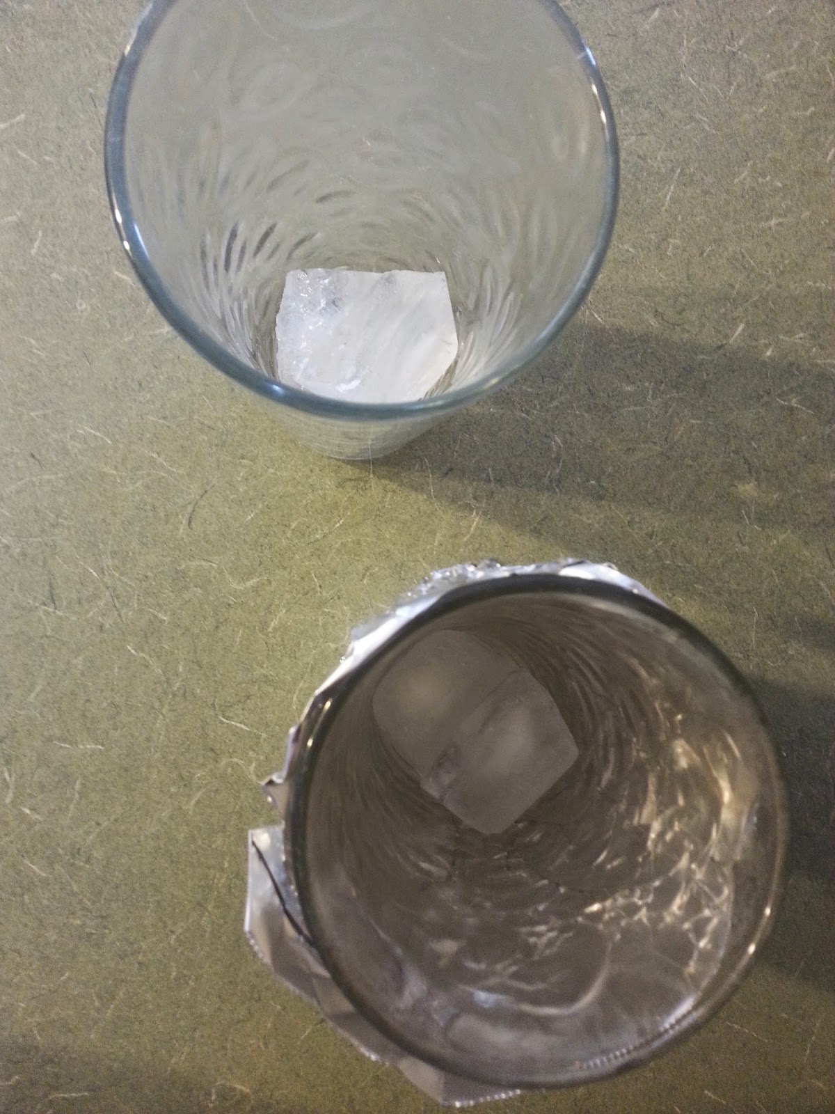 The Cool Science Dad: Melting Ice Experiment