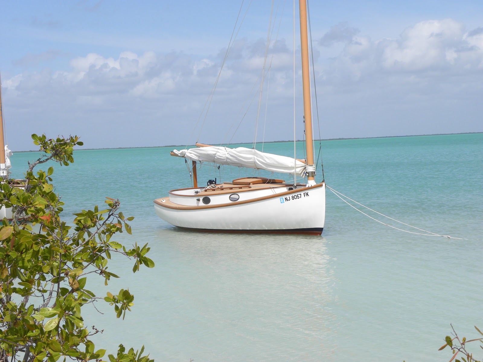 MY LIFE IN THE FLORIDA KEYS AND BEYOND: Another visit to Nest Key