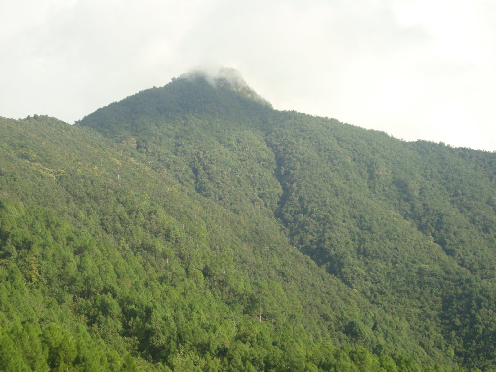 See My Nepal (Photo Blog): Resunga View, Resunga Forest of Gulmi ...