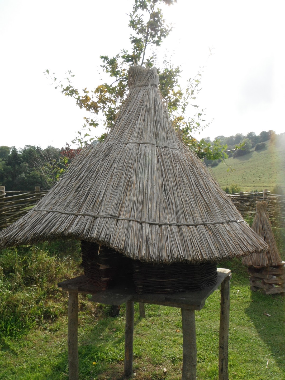 Saints Be Praised in England: Butser Ancient Farm