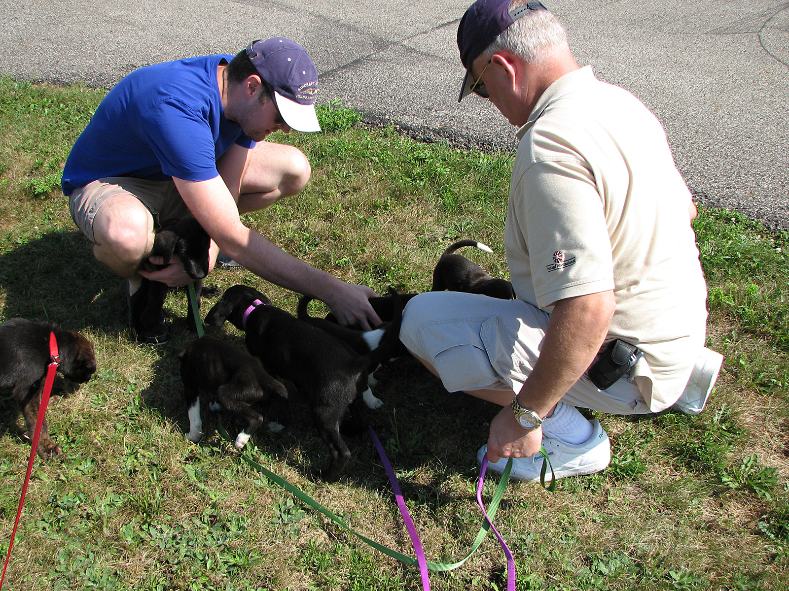 A mile of runway will take you anywhere.: Safety Pilot N Paws