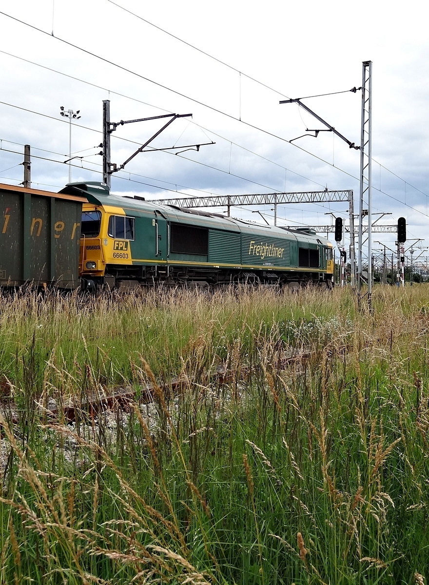Firmowy pociąg FPL na stacji Kielce Herbskie: Class 66604 z węglarkami ...