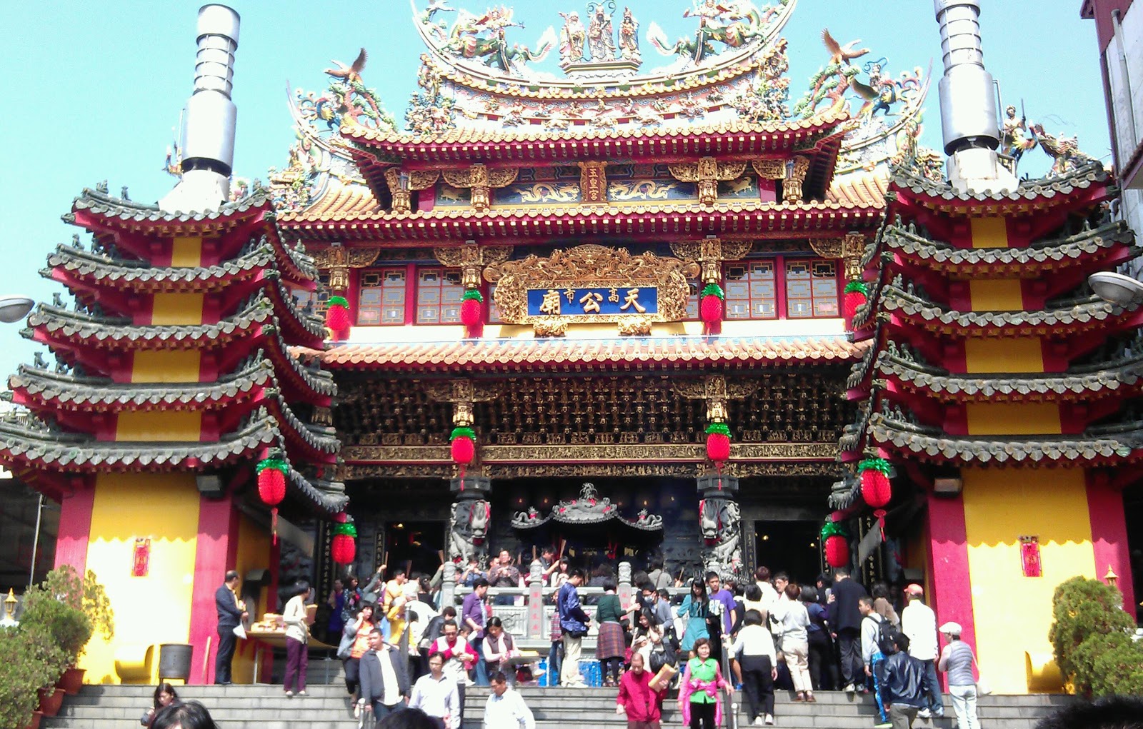 cate lee- dream come true