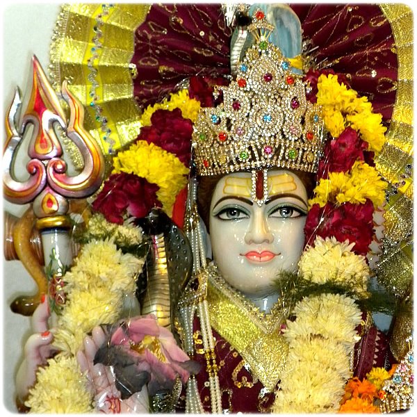 Hindu Station: Shiva Shiba Shib Siva