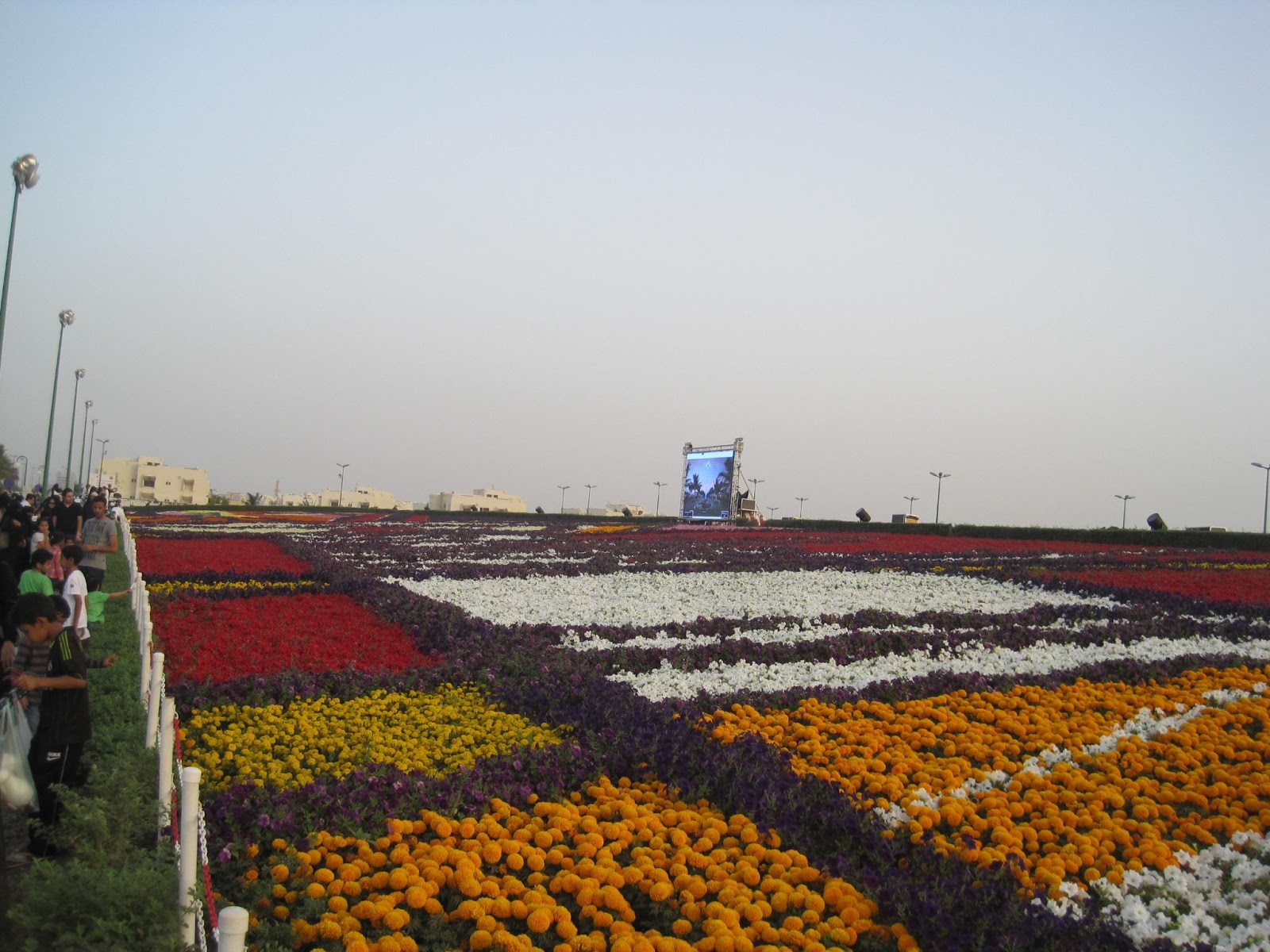 Festival Bunga di Padang Pasir