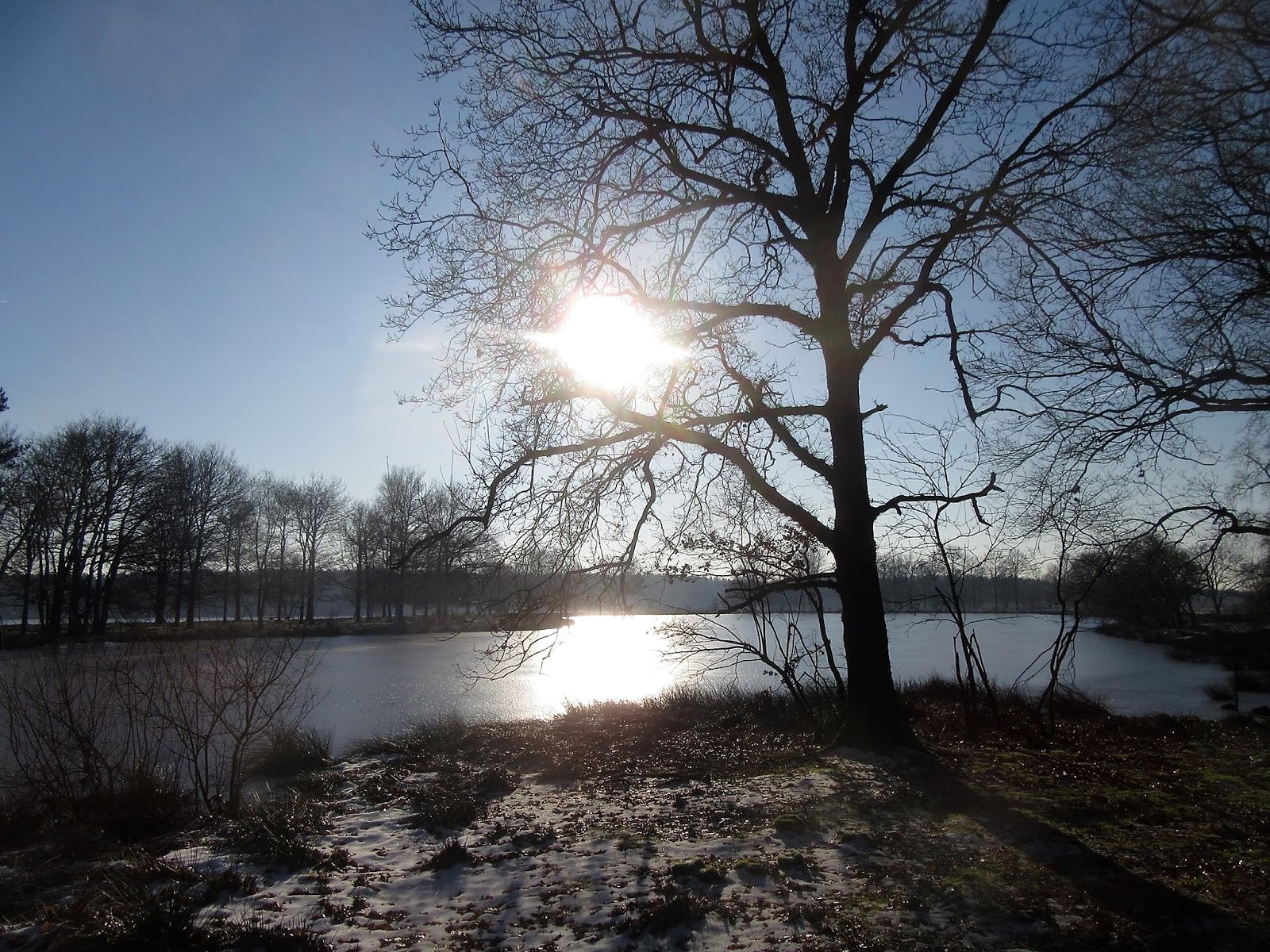 Mooiste Routes: Wandelen bij Ruinen (Drenthe)