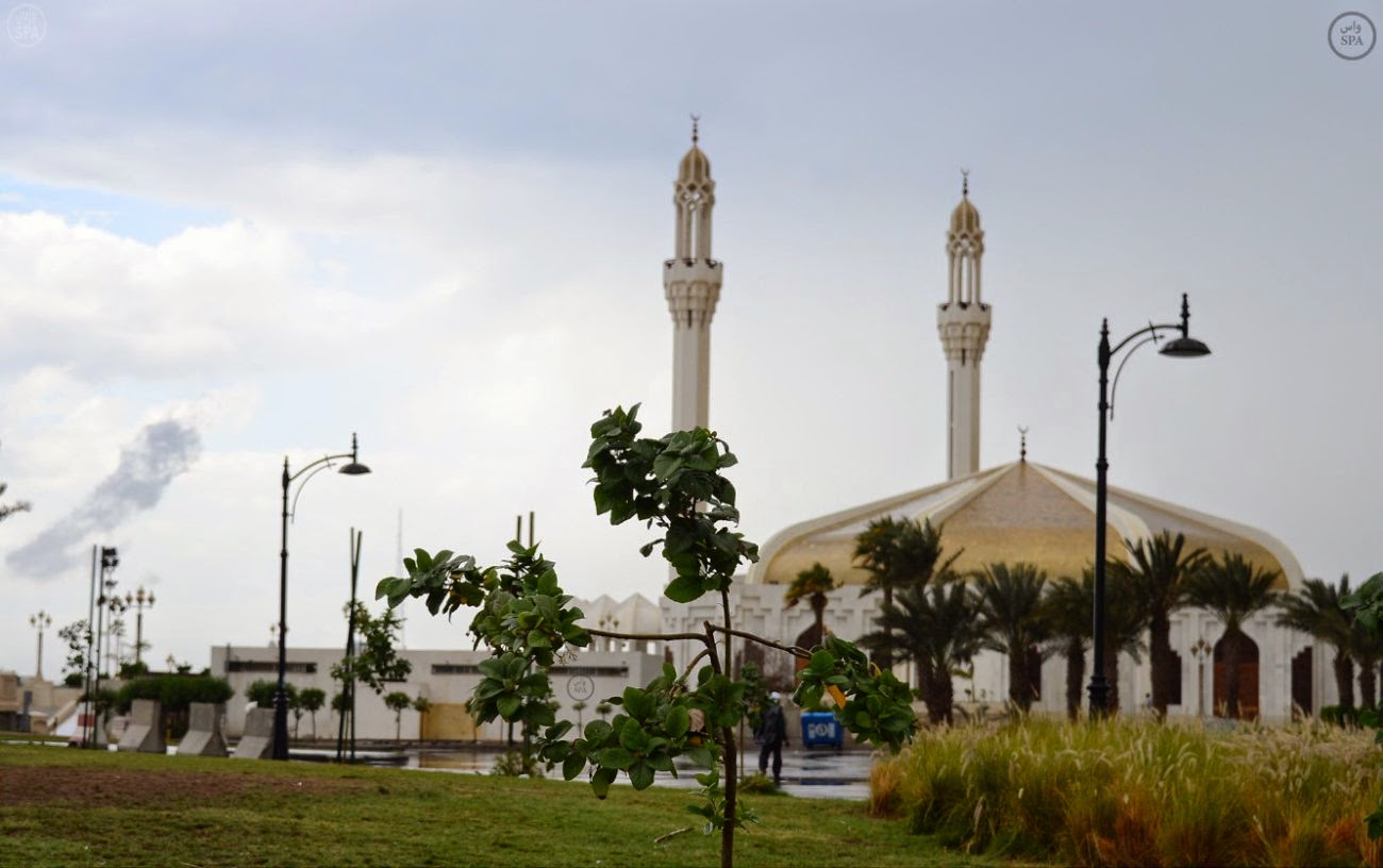 Jeddah City: Mosque Hassan Anani