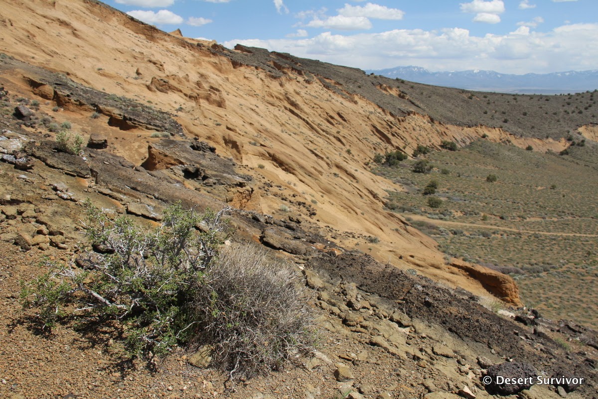 Desert Survivor: Climbing Pahvant Butte, the Volcano South of Delta ...