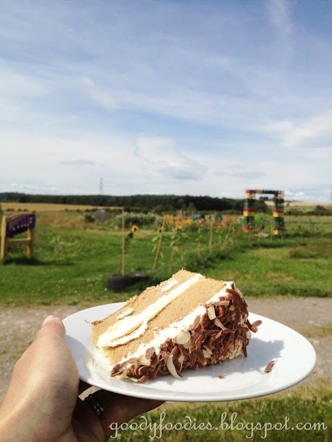 GoodyFoodies: Easter Anguston Farm, Scotland - Strawberry Picking & more..