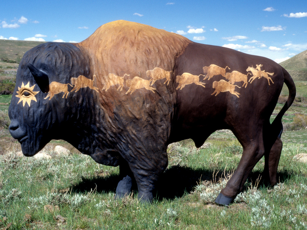 Chris Navarro Studio Blog: ''WYOMING BUFFALO''