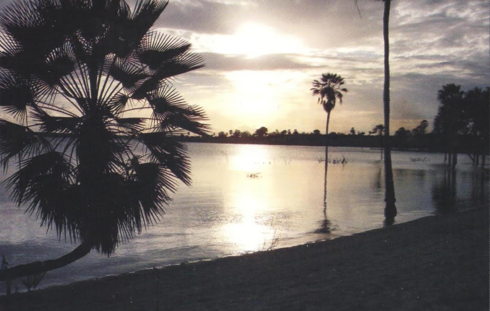 ASSU NA PONTA DA LÍNGUA: ACERVO