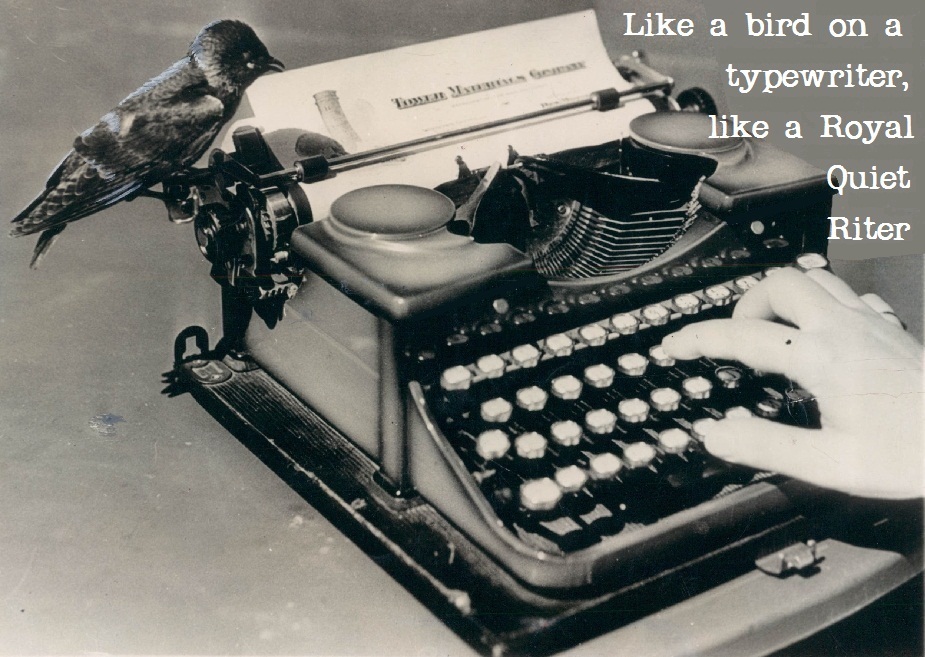 oz.Typewriter: Birds and Typewriters