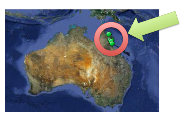 The Daintree Rainforest: Welcome to the World's Oldest Forest!