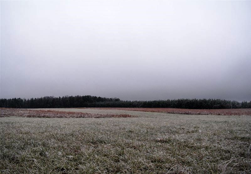 Floare de Colt : Miercurea fara cuvinte (147) -Colectia de nori
