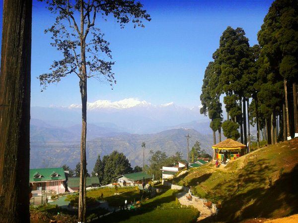 Green Channel Treks and Tours: Lamahatta: Hidden treasure near Darjeeling