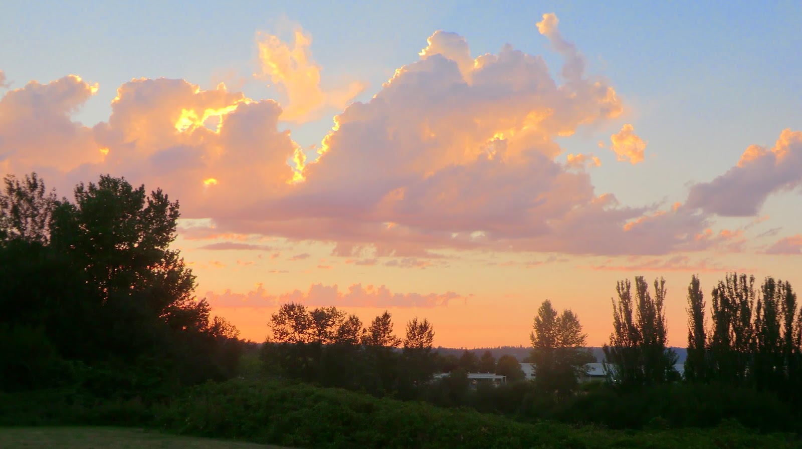 Cliff Mass Weather Blog: An Amazing 360 Degree Sunset