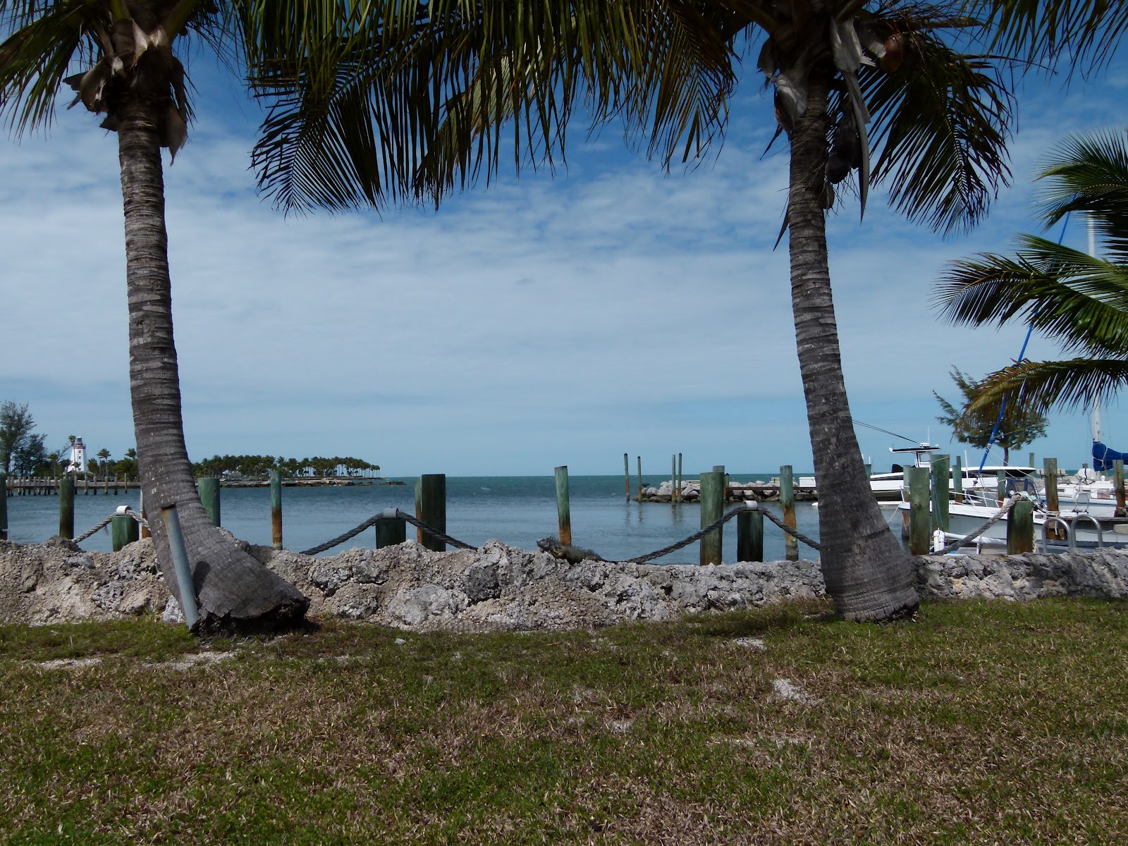 Visit Key West: Turtle Hospital