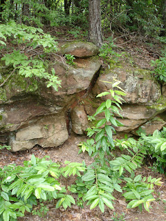 Blue Starr Gallery: Table Rock