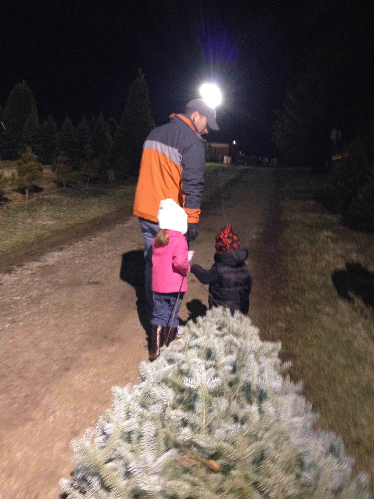 Sliter Family Stories - Our Family of Four Fun!