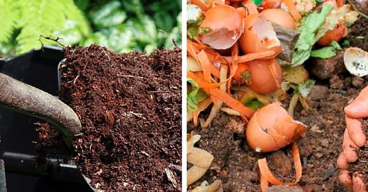#Gardening : Good Composting Tips