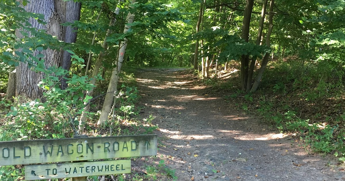 Community Architect Daily: Leakin Park- back from the dead