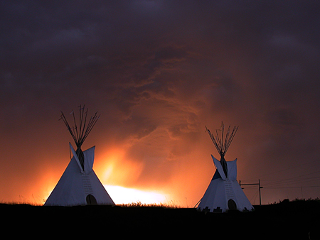El lugar de todos: “Los humanos hacen poco. Creen que saben mucho. Los ...
