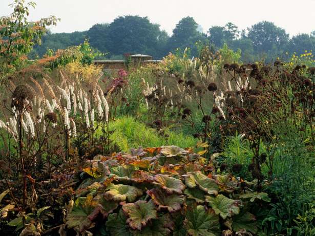 Native Garden Textures: Piet Oudolf "New Perennial Movement" Master