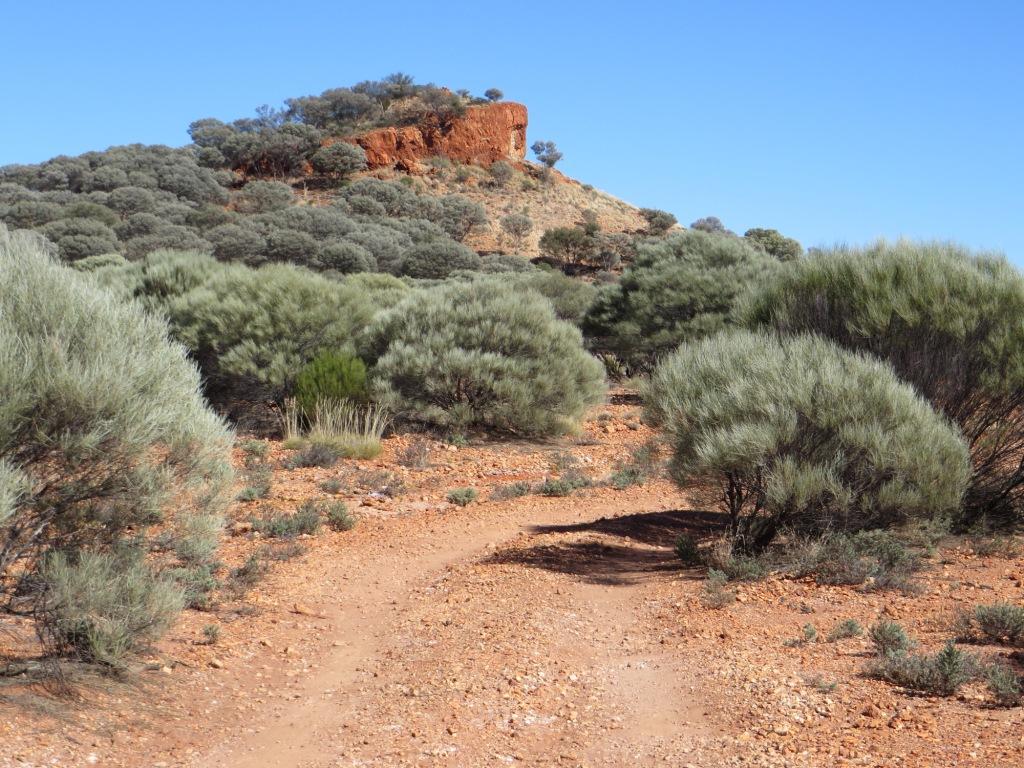 Cruisin the Returd Highway: Warburton to Carnegie via the Gunbarrel Highway
