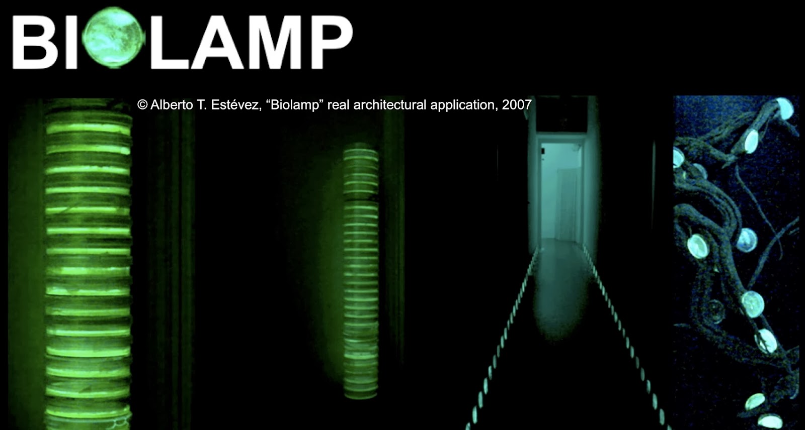 Alberto T. Estévez: - Bio + Digital Architecture & Genetics